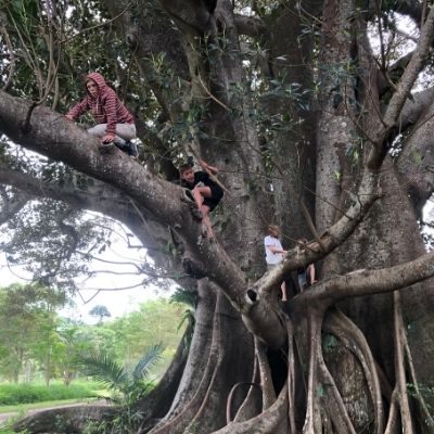 Local | luminousyouth.org