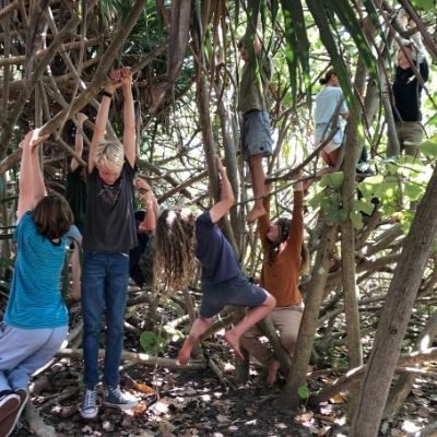 luminousyouth.org | Family-Centric Cultural Regeneration