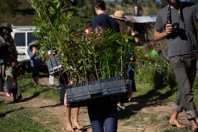 luminousyouth.org | Family-Centric Cultural Regeneration