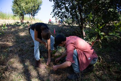 luminousyouth.org | Family-Centric Cultural Regeneration