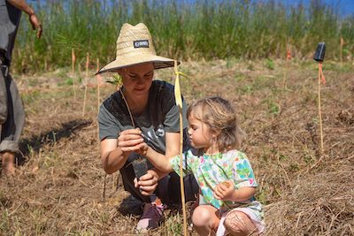 luminousyouth.org | Family-Centric Cultural Regeneration