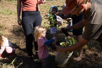 luminousyouth.org | Family-Centric Cultural Regeneration